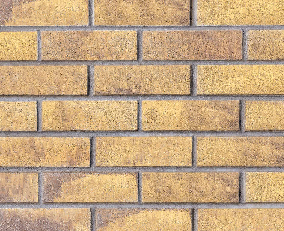 AG Durrow Cream Smooth Facing Bricks — Brickmongers London