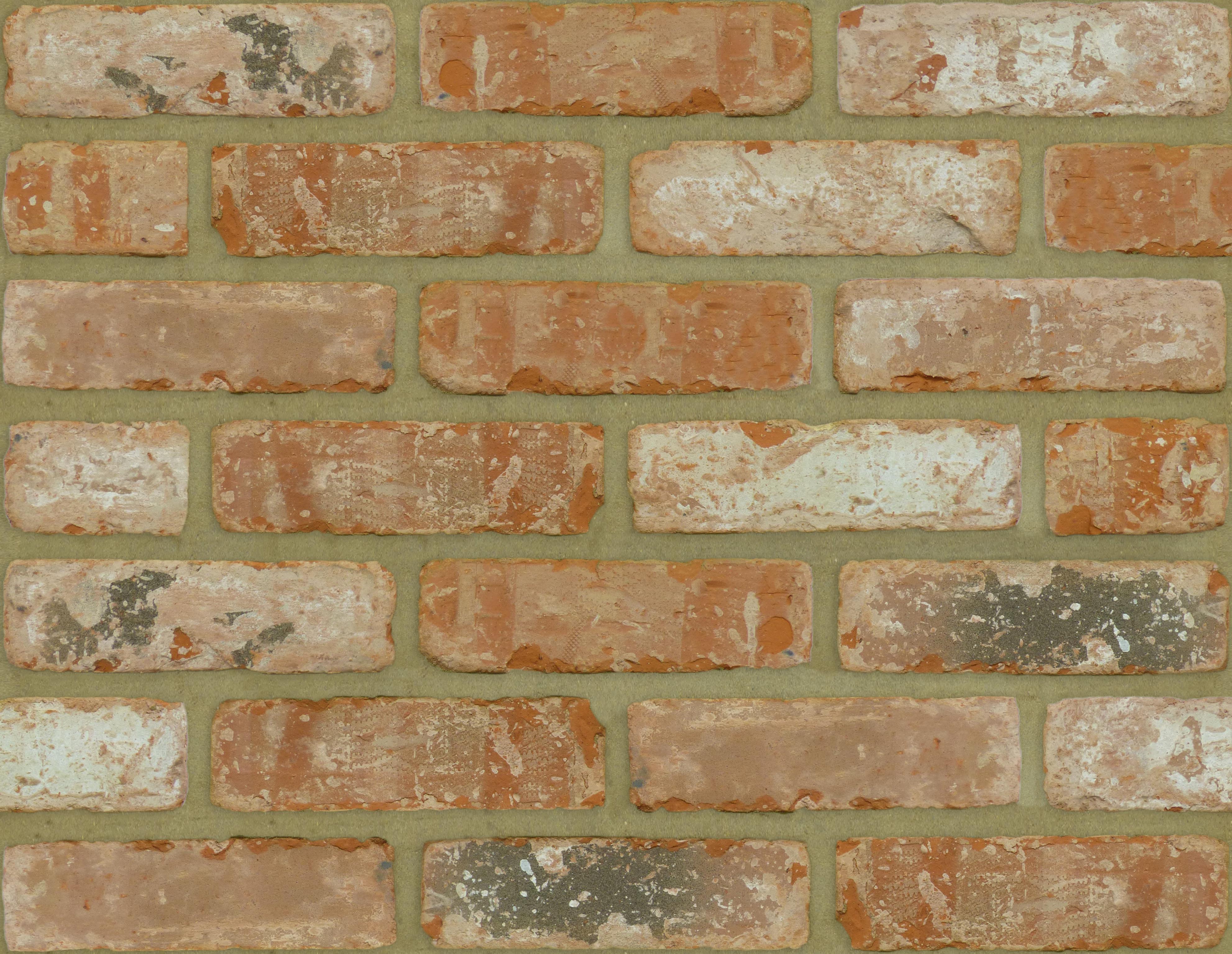 Bespoke Brick Avorio Facing Bricks — Brickmongers London