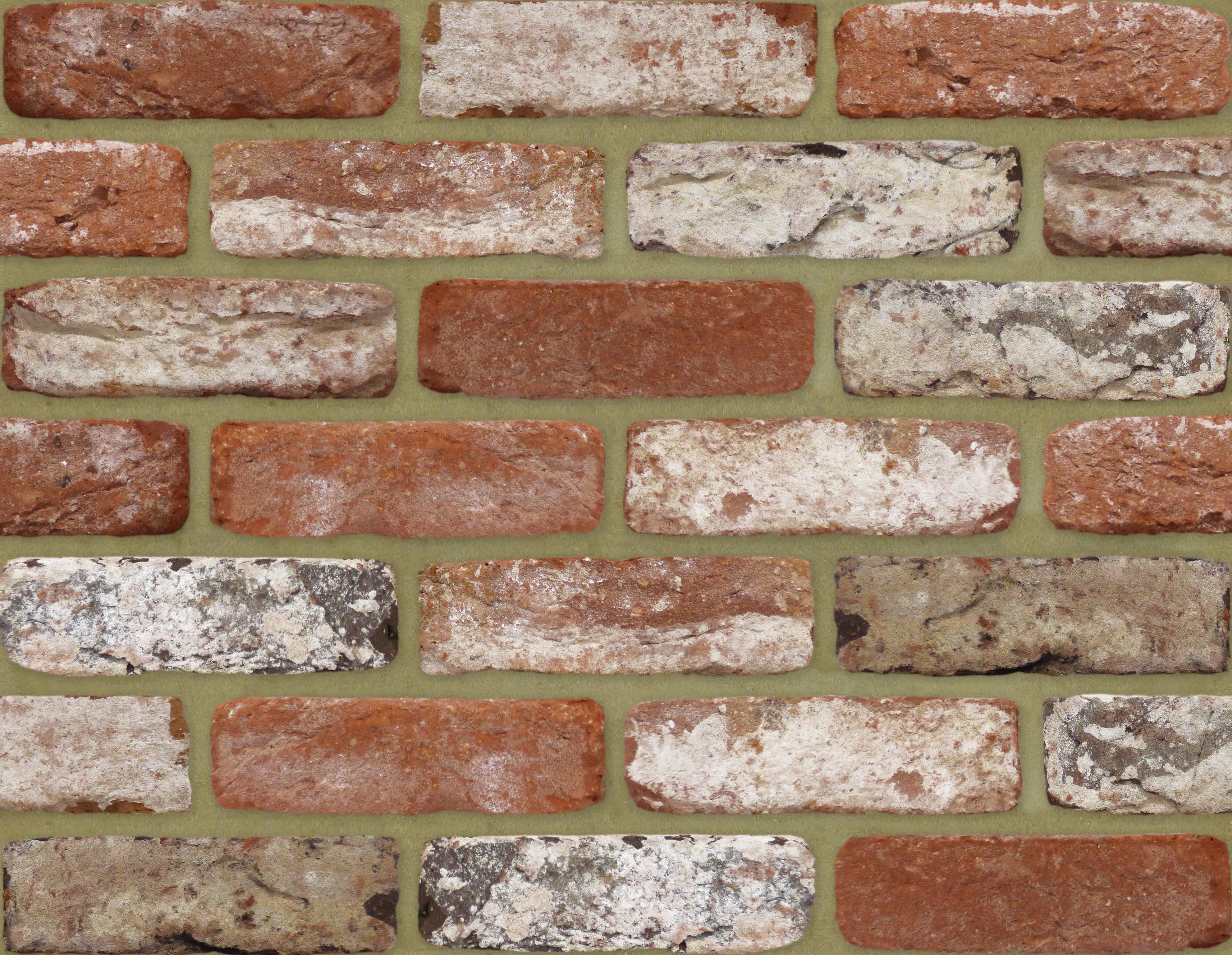 Bespoke Brick Venus Rustica Facing Bricks — Brickmongers London