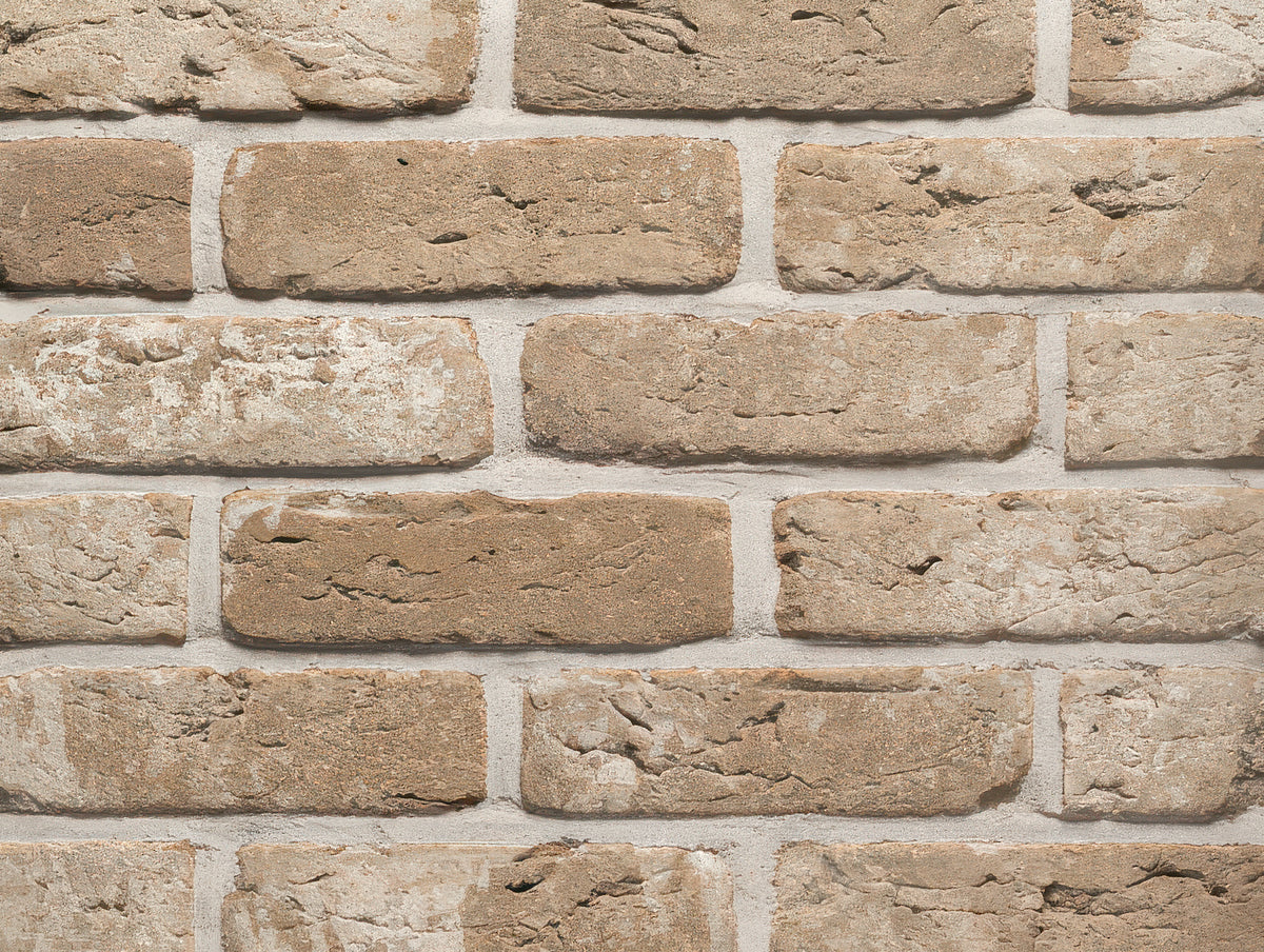 Camtech Retro Grey Rustica Facing Brick — Brickmongers London