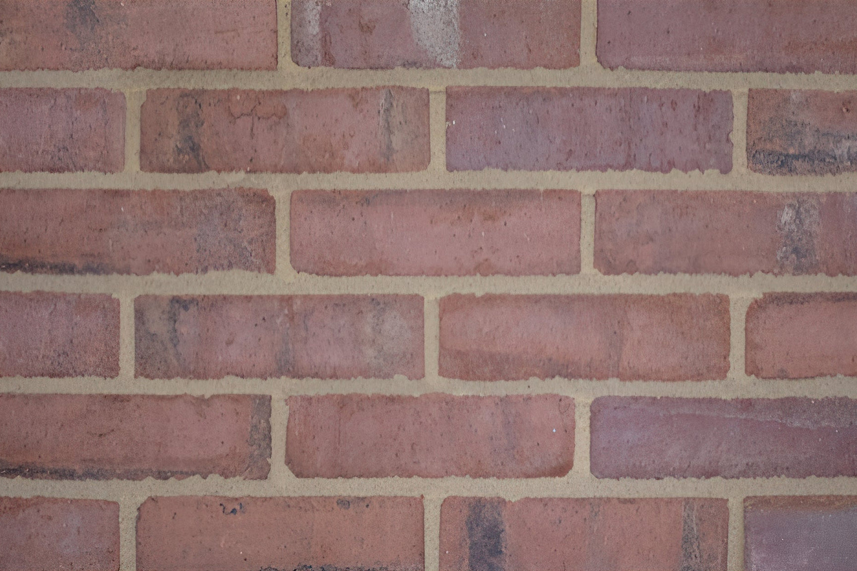 Furness Handbridge Blend Facing Bricks — Brickmongers London