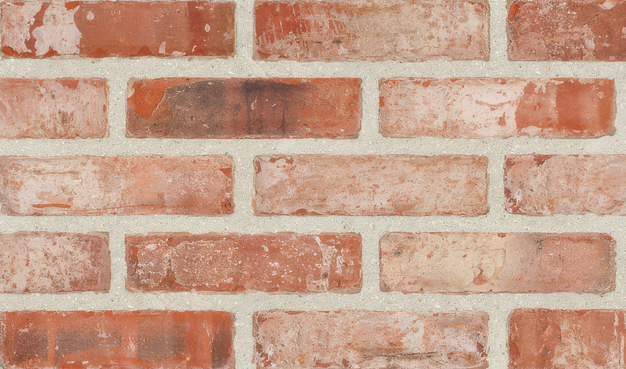Michelmersh Avorio Facing Brick — Brickmongers London